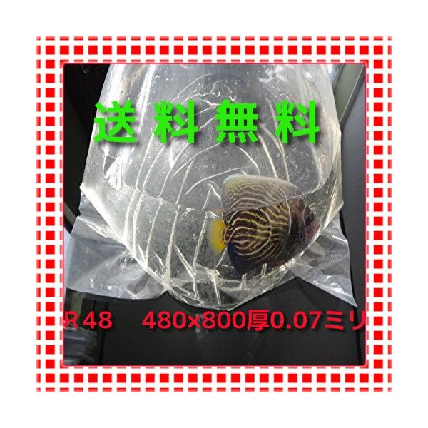 鑑賞魚　発送用　　輸送用 ポリ袋丸底ビニール袋　　Ｒ48　　50枚サイズ　縦　800　横　480　厚　0.07　ミリ★　下記お取引条件、注意事項をご承諾されてからご注文願います　★発送日 ＞商品発送は火曜、水曜、木曜日限定、その他曜日は発送...