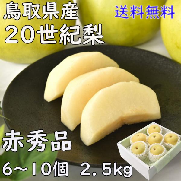 【発売日：2025年09月06日】■品種:梨、２０世紀梨■原産地：鳥取県産■等級：赤秀品■箱：贈答箱■重量：約2.5kg■数量：６〜１０個■賞味期限:到着後はなるべく早くお召し上がりください。■保存方法:常温保存■ギフト対応:熨斗各種対応可...