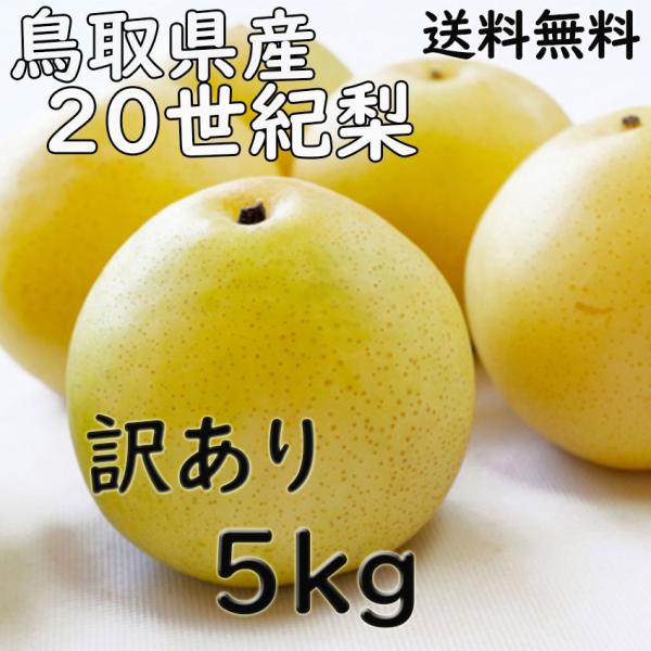【発売日：2025年09月06日】■品種:梨、２０世紀梨■原産地：鳥取県産■等級：訳あり品■重量：約5kg■サイズ：サイズお任せ■数量：サイズお任せ■賞味期限:到着後はなるべく早くお召し上がりください。■保存方法:常温保存■ギフト対応:熨斗...