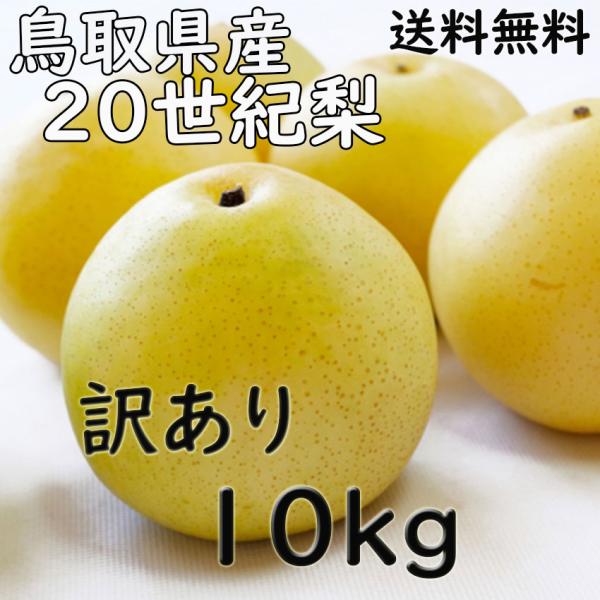 【発売日：2025年09月06日】■品種:梨、２０世紀梨■原産地：鳥取県産■等級：訳あり品■重量：約10kg■サイズ：サイズお任せ■数量：サイズお任せ■賞味期限:到着後はなるべく早くお召し上がりください。■保存方法:常温保存■ギフト対応:熨...
