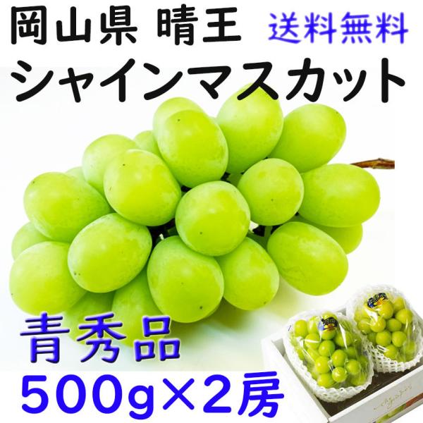 【発売日：2020年07月01日】■品種:シャインマスカット「晴王」　■原産地：岡山県■等級：青秀品　贈答■重量：500ｇ■数量：2房■箱：化粧箱■賞味期限:到着後はなるべく早くお召し上がりください。■保存方法:常温保存■お届けについて:７...