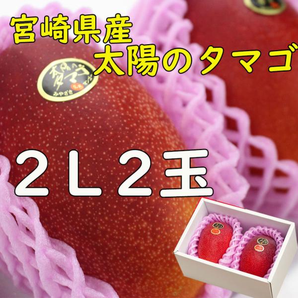 【発売日：2020年04月21日】・商品名：宮崎県産 完熟マンゴー 太陽のタマゴ・商品内容：完熟マンゴー 太陽のタマゴ・等級：秀品・個数：2玉・サイズ：2L・箱：化粧箱入り・原産地：宮崎県産 農協品・賞味期限：生モノの為、お早めにお召し上が...