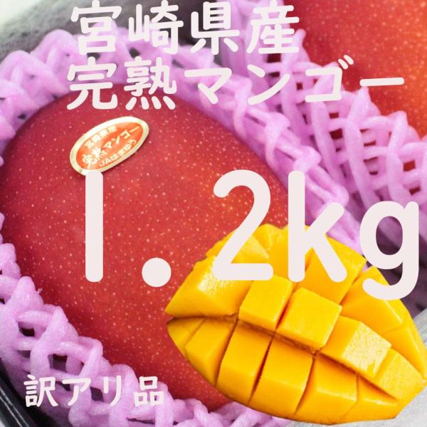 【発売日：2020年05月02日】・商品名：宮崎県産 完熟マンゴー ・商品内容：完熟マンゴー ・等級：ご家庭用・容量：1.2kg・サイズ：Ｌサイズ４玉・箱：無地箱（状況により変わります）・原産地：宮崎県産 JAはまゆう・賞味期限：生モノの為...