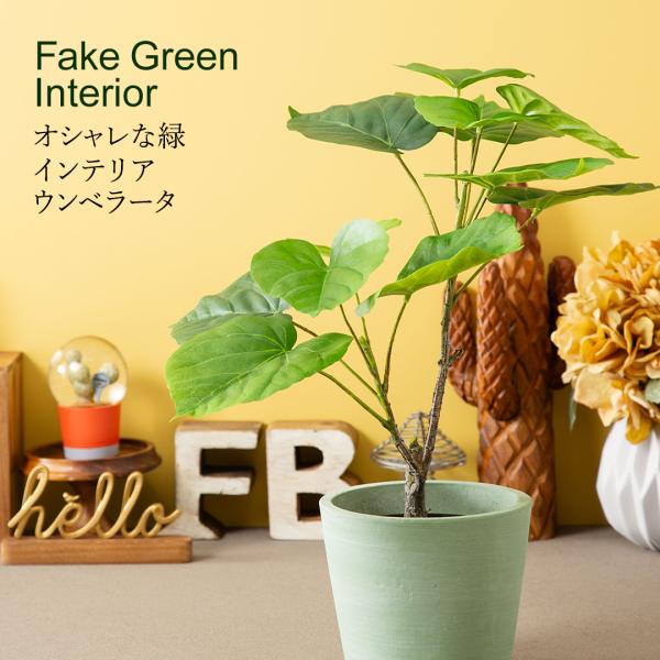 Fake Green Interior 花言葉は「永久の幸せ」ウンベラータ ポット【知っておいてほしいこと】■お花はお手入れ不要のフェイクグリーンです。■一つひとつ手作りで商品をお作りしていますので、写真と若干レイアウトが違う場合がございま...