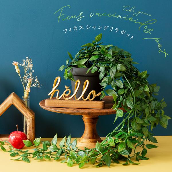 Fake Green Interiorフィカス シャングリラ ポットお部屋に緑を、グリーンライフ♪ツヤのある濃緑の小葉が美しいフィカス シャングリラシンプルなポットから伸びる長いツルとボリュームたっぷりの葉が魅力。光触媒加工を施しております...