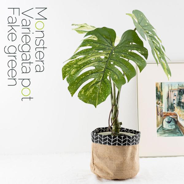 Fake Green Interiorモンステラ バリエガータポットリゾート感あふれる開放的な空間を演出してくれます。【知っておいてほしいこと】■お手入れ不要のフェイクグリーンです。■一つひとつ手作りで商品をお作りしていますので、写真と若干...