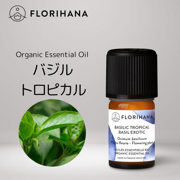 トップノート：フレッシュでスパイシーなハーブの香り。バジルトロピカル（バジルエキゾチック）、バジルリナロール（スイートバジル）の2種類取り扱いがございます。同じ学名ですがケモタイプといい、植物が育った土壌、気候などの環境が異なるため、同じ植...