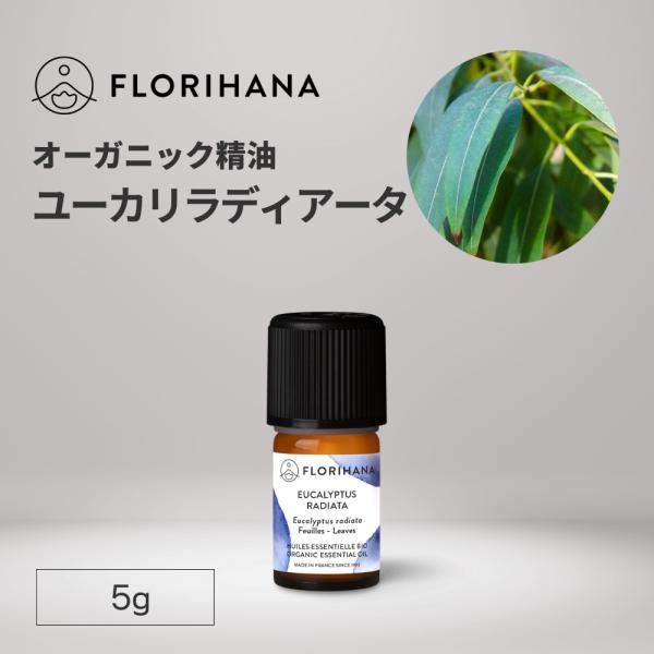 しみとおるような香り。ユーカリプタス、ユーカリナローリーフ（narrow leaf）とも呼ばれます。主成分として1,8-シネオール（ユーカリプトール）が、豊富に含まれています。グロブルスよりも1,8-シネオールが、比較的少なく、香り成分のα...