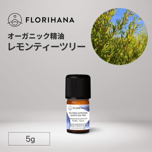 トップ〜ミドルノート：レモングラスに似た強いレモンのような爽やかな香りオーストラリア原産の植物で、レモンのような香りの葉を持つことで知られています。レモングラスに似た強いレモンのような夏を思わせる爽やかな香りです。学名：Leptosperm...