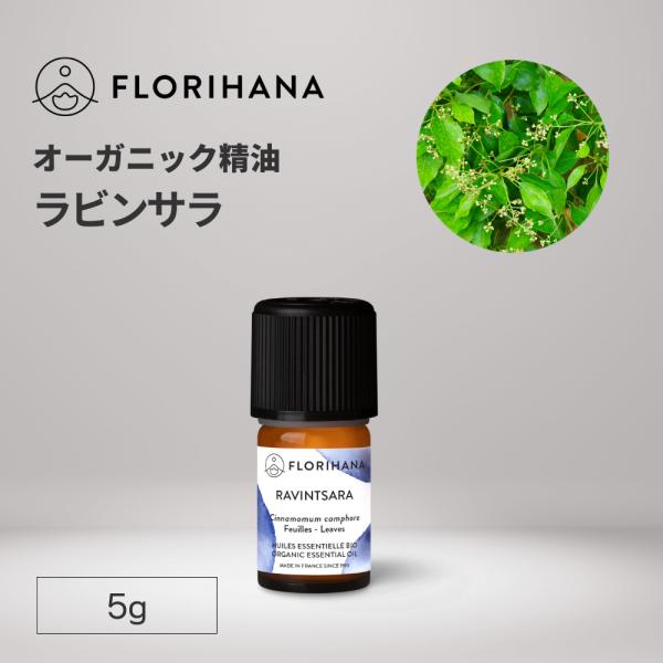 しみとおるユーカリの様なさわやかな香り。ラヴィンサラやラヴィンツァラとも呼ばれます。ユーカリ、タイム、ローズマリー、ティートリーなどのスーとする香りのエッセンシャルオイルと比較して、柔らかくまろやかな香りがします。英語名のラビンサラはマダガ...