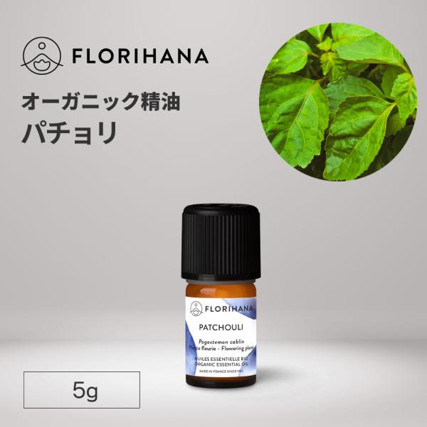 大地を思わせる甘くエキゾチックな香り。パチュリとも呼ばれます。精油の香りは雨上がりの森の土を思い出させます。香りが強いのでブレンドオイルのベースノートとしてよく使われ、さまざまなフローラル系エッセンシャルオイルとのブレンドに適しています。例...