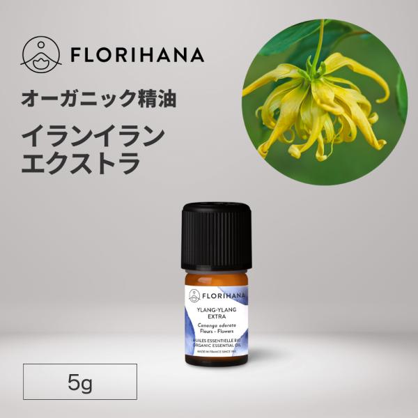 香水のような濃厚でエキゾチックなフローラルな香りイランイランの蒸留時間は長く、段階的に蒸留される唯一の植物でもあります。蒸留順序によりエクストラ、ファースト、セカンド、サードと抽出タイミングにより4段階に分かれます。イランイランエクストラは...