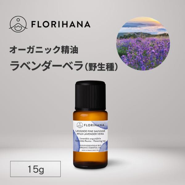 活力に満ちた力強いフロ−ラルな香り。野生の真正ラベンダー精油。毎年夏にフロリハナでは標高1000メートル以上の山で野生種のラベンダーの収穫を行っています。野生種の深く豊かな香りは南フランスの自然の恵みそのもの。野生ラベンダー精油は、こんな方...