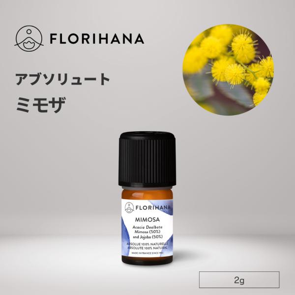 ベースノート/甘いハチミツのような香り。ホホバオイルで50%の濃度に希釈しています。ミモザの花のアブソリュートです。学名：Acacia Dealbata内容量：2g
