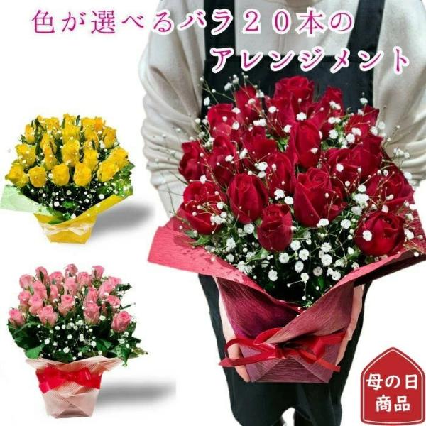 母の日 プレゼント バラ バラ20本 アレンジメント カスミソウ 豪華 かわいい お花 女性 母 祖母 義母 女友達 花 お祝い フラワー ギフト お花祝い※北海道・沖縄・離島へはお送りできませんのでご了承ください。色が選べる　バラのアレン...