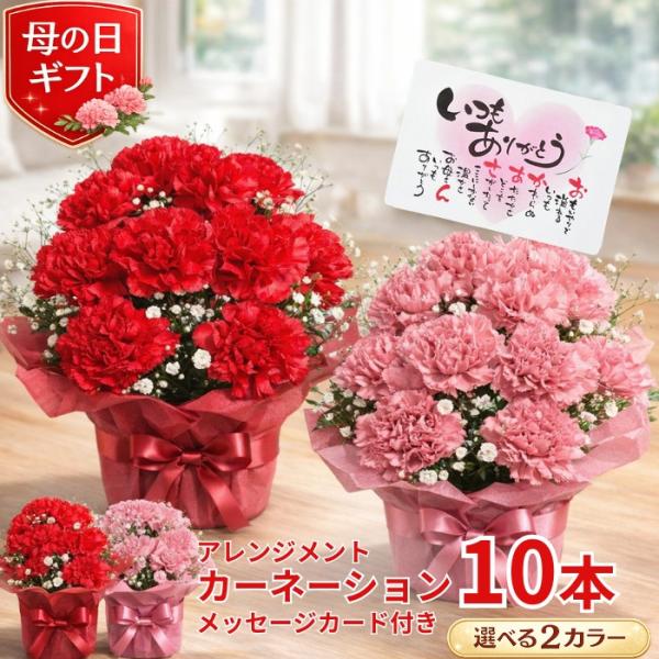 商品名 【母の日限定】カーネーション10本とカスミソウのアレンジメント選べる色合い・レッド・ピンクサイズ高さ 約25ｃｍ横幅 約25ｃｍ奥行 約20ｃｍ※商品により多少サイズが変わる場合がございます。ご了承ください。使用花材カーネーション1...