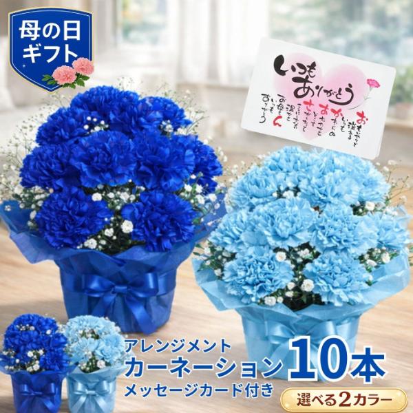 商品名 【母の日限定】カーネーション10本とカスミソウのアレンジメント選べる色合い・ロイヤルブルー・スカイブルーサイズ高さ 約25ｃｍ横幅 約25ｃｍ奥行 約20ｃｍ※商品により多少サイズが変わる場合がございます。ご了承ください。使用花材カ...