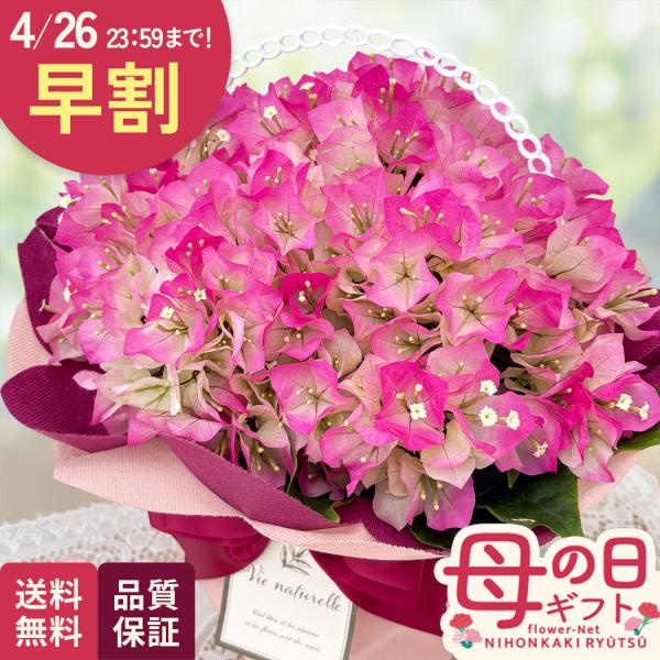 【フラワーネット日本花キ流通】母の日ギフトおすすめ＼４つの無料特典／・お花を傷つけない優しい素材の「ギフトラッピング」・感謝のメッセージ入り「母の日ピック」・お花が初めてでも安心「育て方説明書」・届いてからも安心「品質保証」【贈る相手】女性...