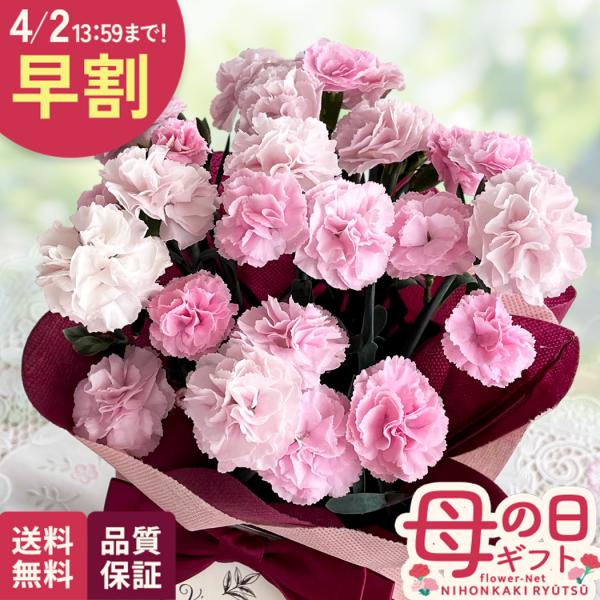 【フラワーネット日本花キ流通】母の日ギフトおすすめ＼４つの無料特典／・お花を傷つけない優しい素材の「ギフトラッピング」・感謝のメッセージ入り「母の日ピック」・お花が初めてでも安心「育て方説明書」・届いてからも安心「品質保証」【贈る相手】女性...