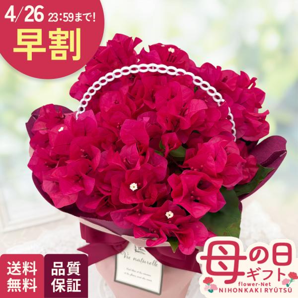 【フラワーネット日本花キ流通】母の日ギフトおすすめ＼４つの無料特典／・お花を傷つけない優しい素材の「ギフトラッピング」・感謝のメッセージ入り「母の日ピック」・お花が初めてでも安心「育て方説明書」・届いてからも安心「品質保証」【贈る相手】女性...