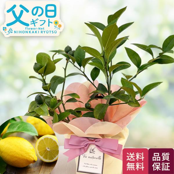 【フラワーネット日本花キ流通】母の日ギフトおすすめ＼2つの無料特典／・お花を傷つけない優しい素材の「ギフトラッピング」・届いてからも安心「品質保証」【贈る相手】男性 お父さん 父 父親 パパ ファザー 夫 義夫 おじいちゃん 祖父 継父 兄...