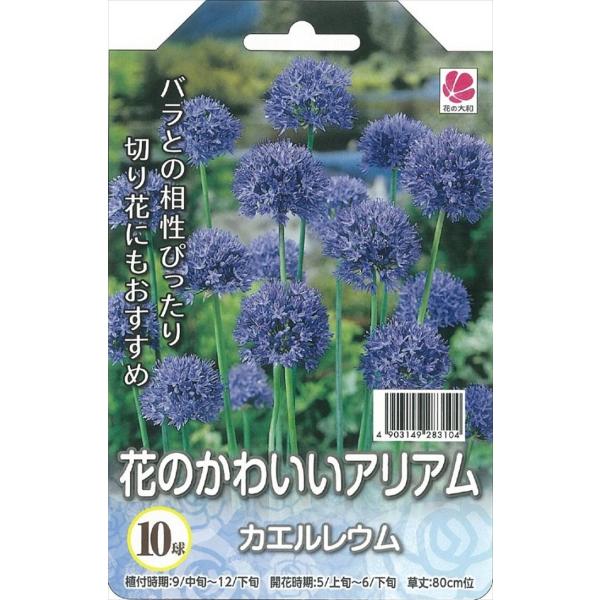 ■商品説明小さくて個性的な花がたくさん開花します。丈夫で育てやすく初心者にもおすすめです。バラとの相性ぴったり。切り花にもおすすめ。■植え時9月中旬〜12月下旬■開花期5月上旬〜6月下旬■草丈約80cm■入数10球■必ずお読みください!!生...