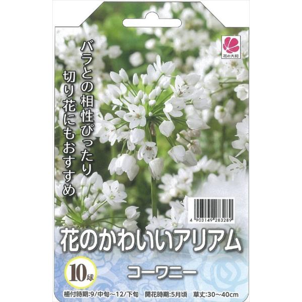 ■商品説明小さくて個性的な花がたくさん開花します。丈夫で育てやすく初心者にもおすすめです。バラとの相性ぴったり。切り花にもおすすめ。■植え時9月中旬〜12月下旬■開花期5月頃■草丈30cm〜40cm■入数10球■必ずお読みください!!生育状...