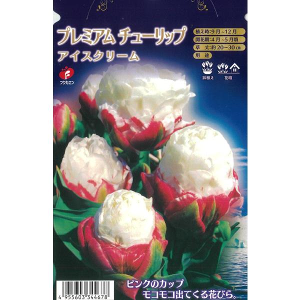 全世界でも流通量の非常に少ない貴重な品種です。ピンクのカップ。モコモコ出てくる花びら。【開花期】4月〜5月頃【植付時期】9月〜12月【草丈】約20〜30cm【入数】3球【ご確認ください】生育状況により、発送間際の段階で数量の訂正やご注文のキ...