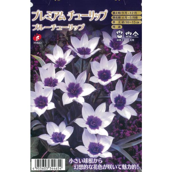 小さい球根から幻想的な花色が咲いて魅力的。【開花期】4月〜5月頃【植付時期】9月〜12月【草丈】約10〜15cm【入数】3球【ご確認ください】生育状況により、発送間際の段階で数量の訂正やご注文のキャンセルをお願いする場合がございますのでご理...