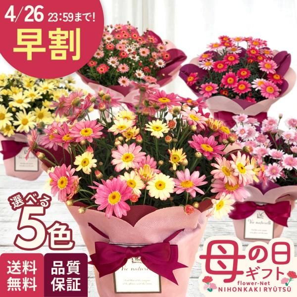 【フラワーネット日本花キ流通】母の日ギフトおすすめ＼４つの無料特典／・お花を傷つけない優しい素材の「ギフトラッピング」・感謝のメッセージ入り「母の日ピック」・お花が初めてでも安心「育て方説明書」・届いてからも安心「品質保証」【贈る相手】女性...