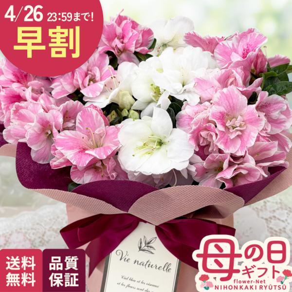 【フラワーネット日本花キ流通】母の日ギフトおすすめ＼４つの無料特典／・お花を傷つけない優しい素材の「ギフトラッピング」・感謝のメッセージ入り「母の日ピック」・お花が初めてでも安心「育て方説明書」・届いてからも安心「品質保証」【贈る相手】女性...