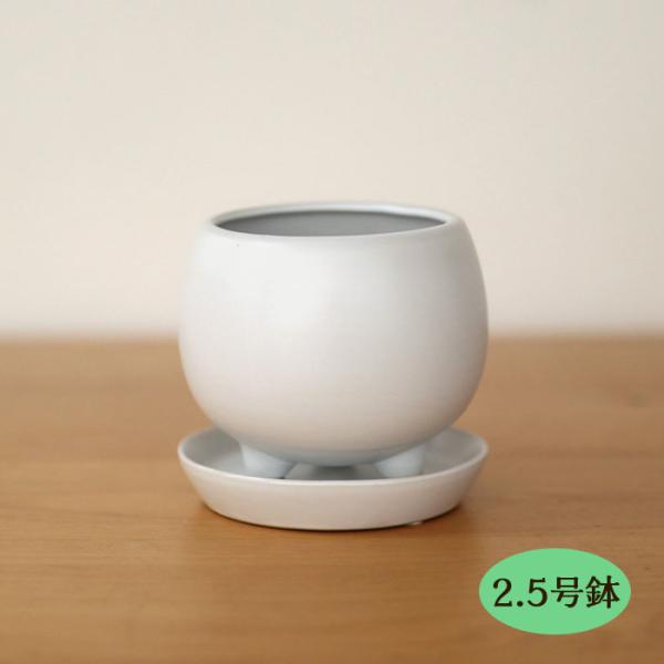 ■特徴磁器素材を原料として約１２００℃の高温で焼成されているため、貫入（釉薬ヒビ）はほとんど発生しない仕上がりとなっております。■サイズ2.5号サイズ 直径：8cm×高さ：7.5cm 鉢底穴あり・皿付き ※サイズには多少の誤差が生じます。