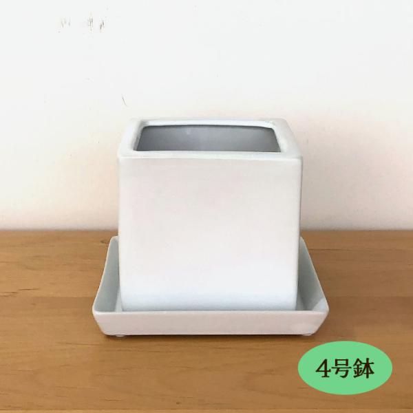 ■特徴磁器素材を原料として約１２００℃の高温で焼成されているため、貫入（釉薬ヒビ）はほとんど発生しない仕上がりとなっております。■サイズ4号サイズ 幅・奥行：12cm×高さ：10.5cm 鉢底穴あり・皿付き ※サイズには多少の誤差が生じます。