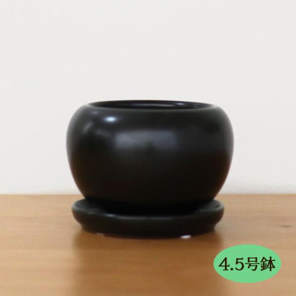 ■特徴磁器素材を原料として約１２００℃の高温で焼成されているため、貫入（釉薬ヒビ）はほとんど発生しない仕上がりとなっております。■サイズ4.5号サイズ 直径：14cm×高さ：9.5cm（口内径：１０cm） 鉢底穴あり・皿付き ※サイズには多...