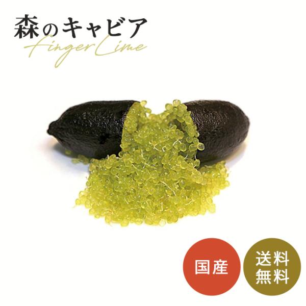 【置き場所】日当たりのよい場所か、半日陰に置いてあげましょう。真夏の強い日差しや西日に当たると痛んでしまうので、注意してください。風が強いときは、室内に置くか支柱や風よけをつけてあげましょう。【水やり】乾燥に強い品種ですが、夏場は土が乾かな...