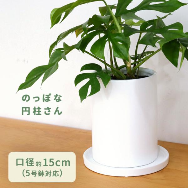 シンプルで実用的な定番型の植木鉢です。受皿付きで屋内での使用にも便利です。主張しすぎないシンプルな鉢は、置く場所を選ばず、定番のパキラやモンステラ、ガジュマルなど、どんな観葉植物とも合わせやすいデザインです。セットの受皿は、置いた時に密着す...
