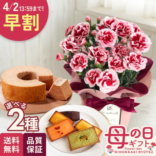 【フラワーネット日本花キ流通】母の日ギフトおすすめ＼４つの無料特典／・お花を傷つけない優しい素材の「ギフトラッピング」・感謝のメッセージ入り「母の日ピック」・お花が初めてでも安心「育て方説明書」・届いてからも安心「品質保証」【贈る相手】女性...
