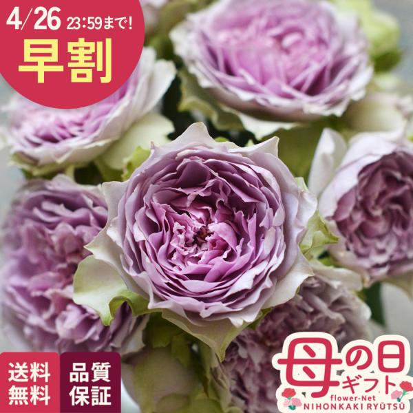 【フラワーネット日本花キ流通】母の日ギフトおすすめ＼２大無料特典／・母の日メッセージ入り「お花の育て方説明書」・届いてからも安心「品質保証」【贈る相手】女性 お母さん 母 母親 ママ 妻 義母 おばあちゃん 祖母 継母 兄弟 姉妹 友人 友...