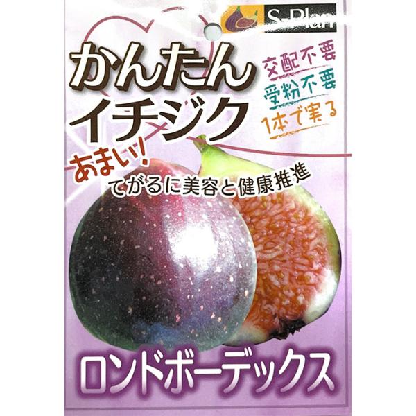 【特徴】フランス原産の極甘品種。ねっとりとした食感の極甘果肉ですが、わずかに酸味を感じバランスの取れた極上風味です。「上品な甘さ」を求める方に向いている品種です。・糖度　24度程度・大きさ　20〜30ｇ・成熟期　8月〜9月・生産可能地域 関...