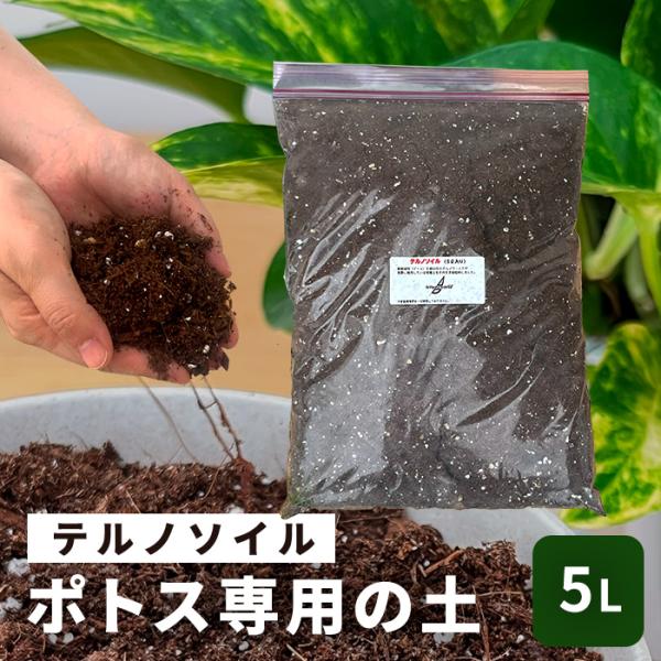 【商品説明】ポトスといえば「テルノシリーズ」。その生みの親、ポトスの栽培歴60年の伊藤さんこだわりの園芸用土です。 実際にテルノワールドで使用している土を袋詰めにしました。ポトス テルノはもちろん、観葉植物、草花、野菜など幅広く使えます。【...