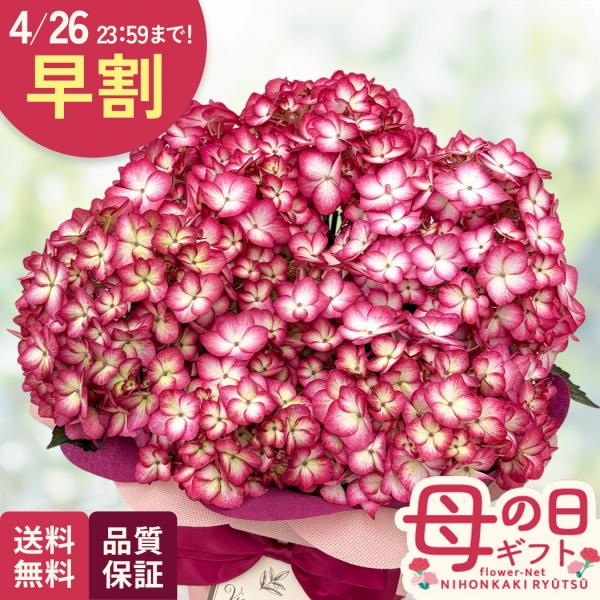 【フラワーネット日本花キ流通】母の日ギフトおすすめ＼４つの無料特典／・お花を傷つけない優しい素材の「ギフトラッピング」・感謝のメッセージ入り「母の日ピック」・お花が初めてでも安心「育て方説明書」・届いてからも安心「品質保証」【贈る相手】女性...