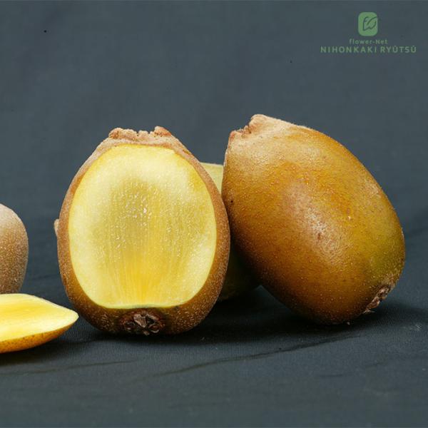 蔓蔓性落葉低木 マタタビ科黄色実キウイの王様と言われる『ジャンボイエロー』最高糖度19度、最大果重250グラム味は甘柿や桃のような甘さの超ビックサイズの黄実キウイフルーツ。普通種の緑キウイとはちが追熟なしで樹上完熟します。接木1年生苗です。...
