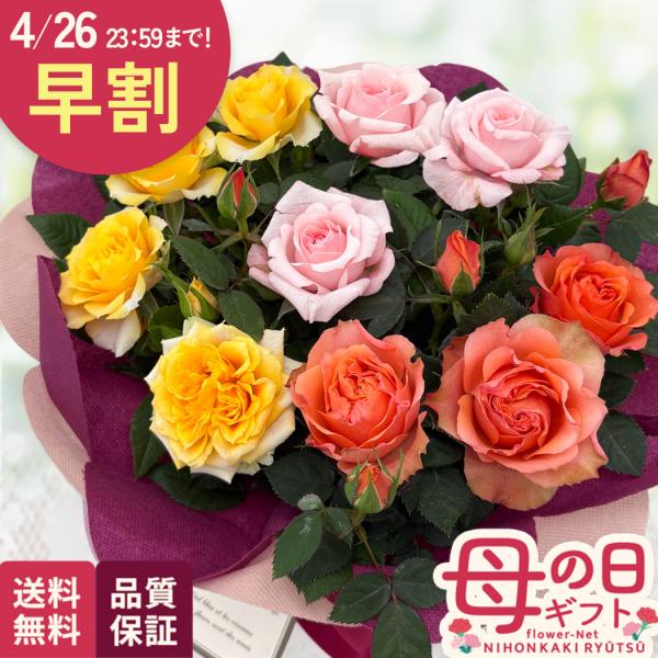 【フラワーネット日本花キ流通】母の日ギフトおすすめ＼４つの無料特典／・お花を傷つけない優しい素材の「ギフトラッピング」・感謝のメッセージ入り「母の日ピック」・お花が初めてでも安心「育て方説明書」・届いてからも安心「品質保証」【贈る相手】女性...