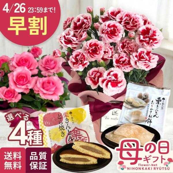 【フラワーネット日本花キ流通】母の日ギフトおすすめ＼４つの無料特典／・お花を傷つけない優しい素材の「ギフトラッピング」・感謝のメッセージ入り「母の日ピック」・お花が初めてでも安心「育て方説明書」・届いてからも安心「品質保証」【贈る相手】女性...