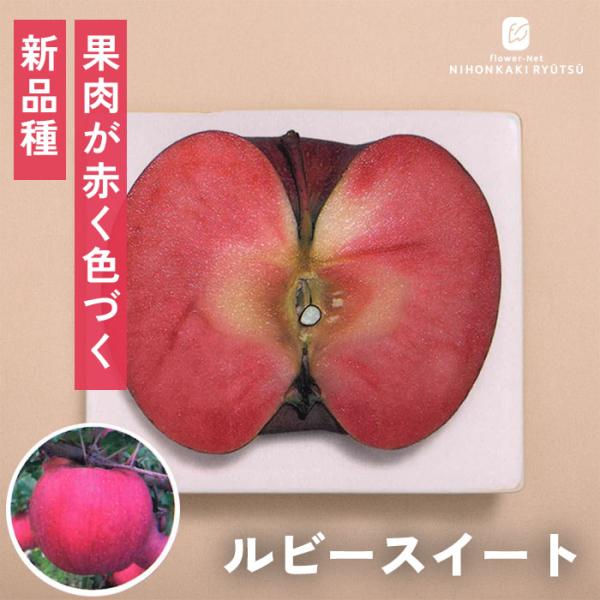 果肉まで真っ赤！「酸っぱい」を覆す、生食で最高に美味しい奇跡の赤肉りんご「ルビースイート」。ナイフを入れた瞬間、果肉まで鮮やかな赤色に染まった断面が現れる衝撃の赤肉品種「ルビースイート」。これまでにも果肉が赤いりんごは存在しましたが、その多...