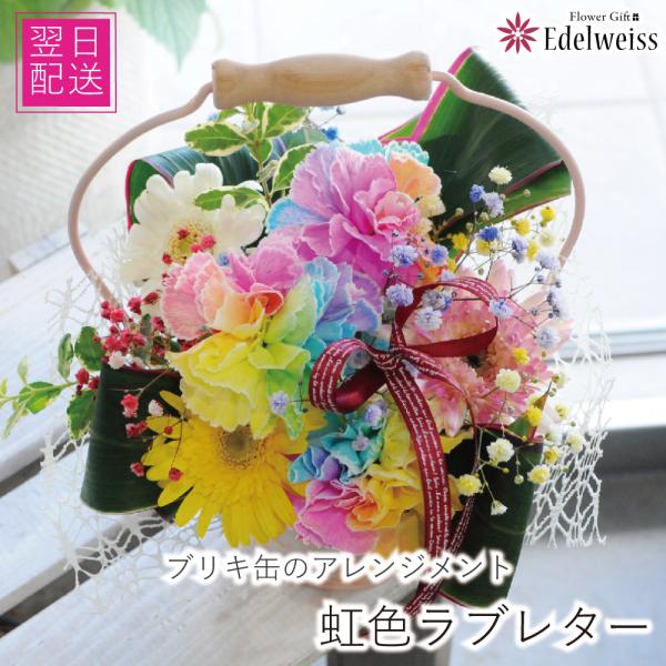 【商品について】キュートなブリキ缶にカラフルカーネーションを飾ったアレンジメントです。レインボーカーネーションの花言葉は「感謝」。※画像はイメージです。植物の為入荷状況により若干異なる場合がございます。【サイズ】高さ28cm前後【注意事項】...