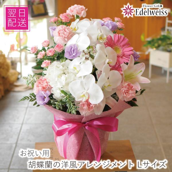 お祝い用 胡蝶蘭の洋風アレンジメントLサイズ【商品について】・お祝いに喜ばれる胡蝶蘭を使った豪華な洋風なアレンジメントです。【サイズ】高さ：60cm×幅：40cm前後※手作りのため多少前後します。【注意事項】※画像はイメージです。花材は、入...