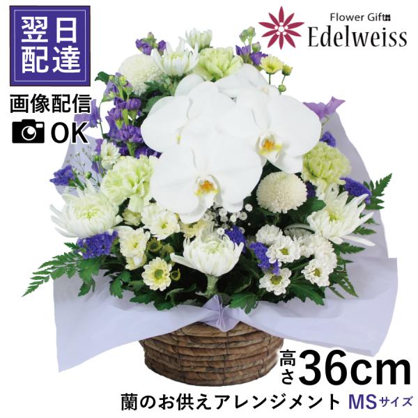 【商品について】蘭のお花をお入れし、その時に入荷している新鮮なお花で作成する蘭のお供えアレンジメントです。故人を偲び、哀悼の気持ちを込めて心やすらぐメモリアルフラワーアレンジメントです。※2つご注文いただいた場合、左右対称の対の作成を行いま...