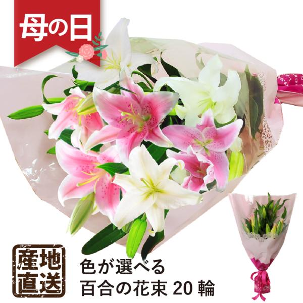 【商品について】新鮮な百合の花束20輪です。お色は白・ピンク・ミックスからお選びいただけます。配達中のお花の傷付きを防ぐ為、蕾の状態で花束を作成します。お花のお手入れの冊子を同梱いたします。※画像は開花時のイメージです。※こちらは契約農家か...