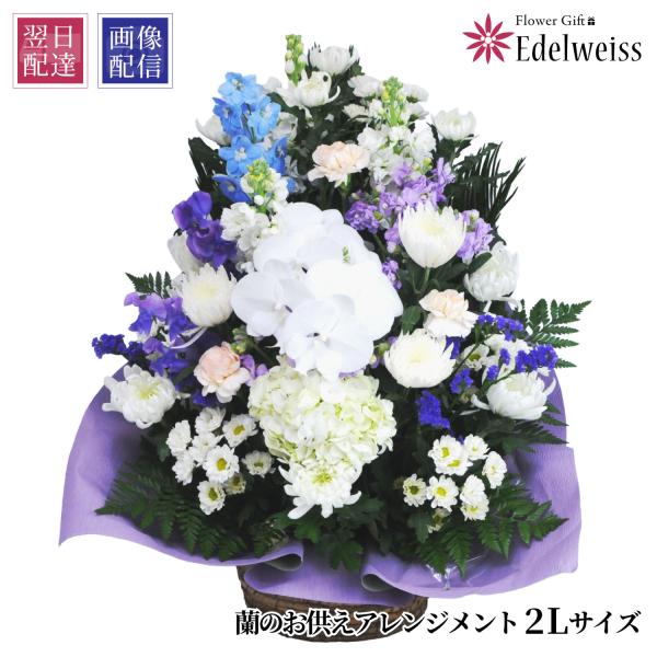 【商品について】蘭のお花をお入れし、その時に入荷している新鮮なお花で作成するお供えアレンジメント。お色は白上がりの他に、悲しみを癒やすやさしい色合いを入れてなど故人のイメージに合わせてお選びいただけます。【サイズ】2Lサイズ：高さ65〜70...